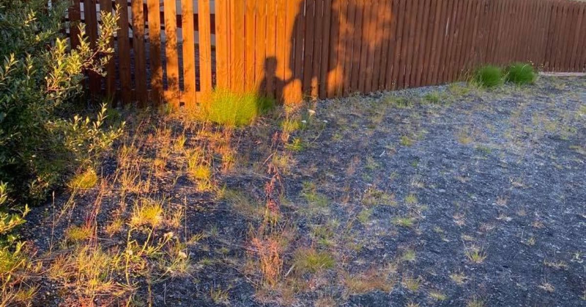 Samstarfsverkefnið "Aðgerðir gegn ofbeldi á tímum Covid" - Vestmannaeyjar